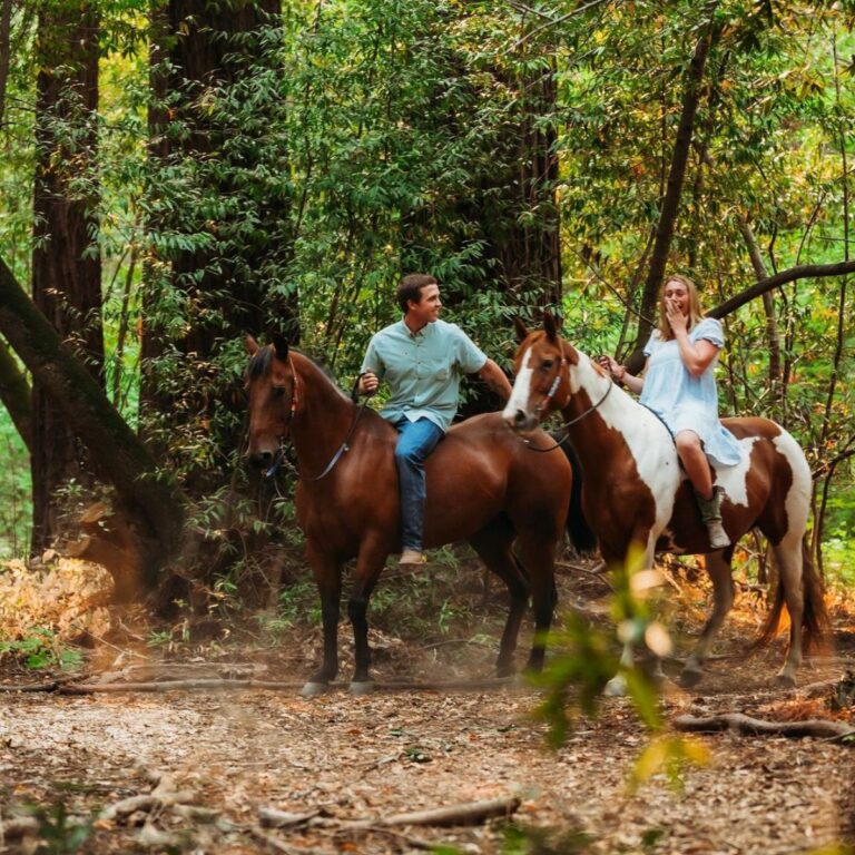 17 Romantic Ideas for Engagement for Horse Lovers