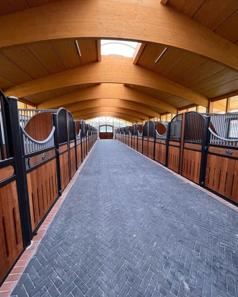 17 Horse Stall Ideas for Any Budget (With Photos)